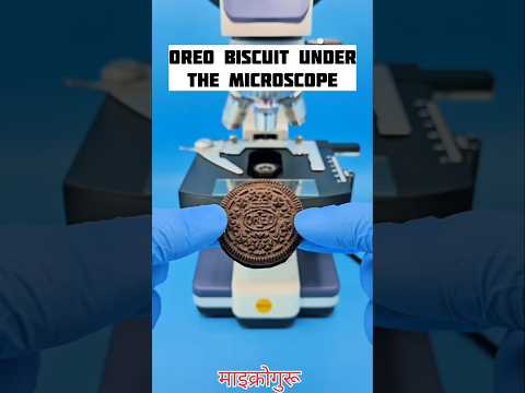 Oreo Biscuit Inside the Microscope ???? #shorts #microscope #ytshorts