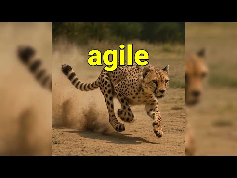 Agile: Meaning, Pronunciation, Definition in American & British English - agilest agiler agilely