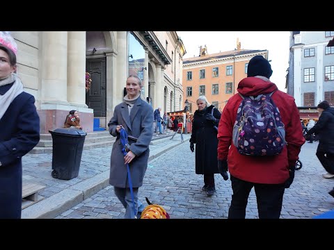 Stockholm, Sweden | Magical Stockholm Christmas Tour: Drottninggatan, Old Town, Royal Palace