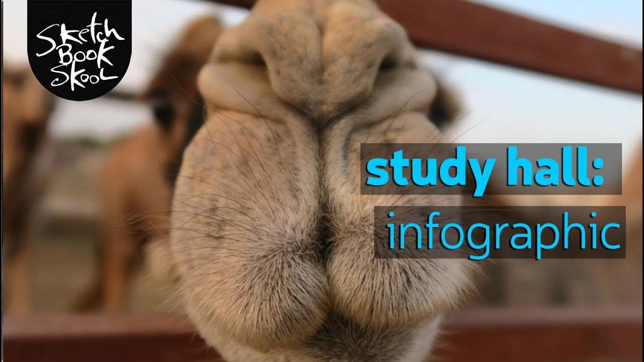 Study Hall: Infographic