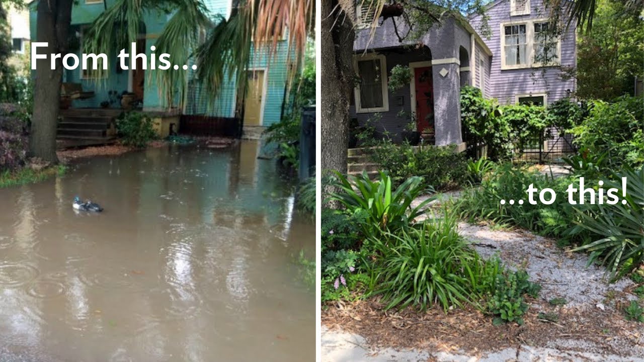 The Urban Conservancy's Introduction to Green Infrastructure