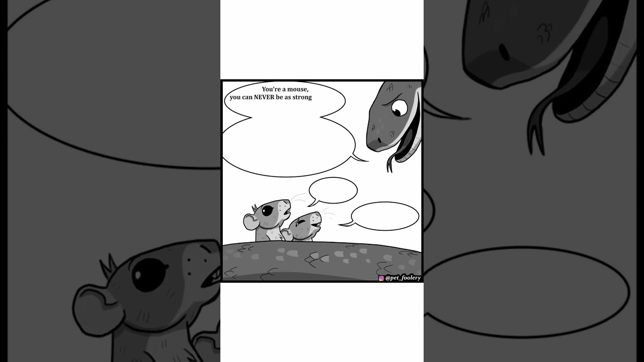 Pet Foolery: Life Lesson (Comic Dub)