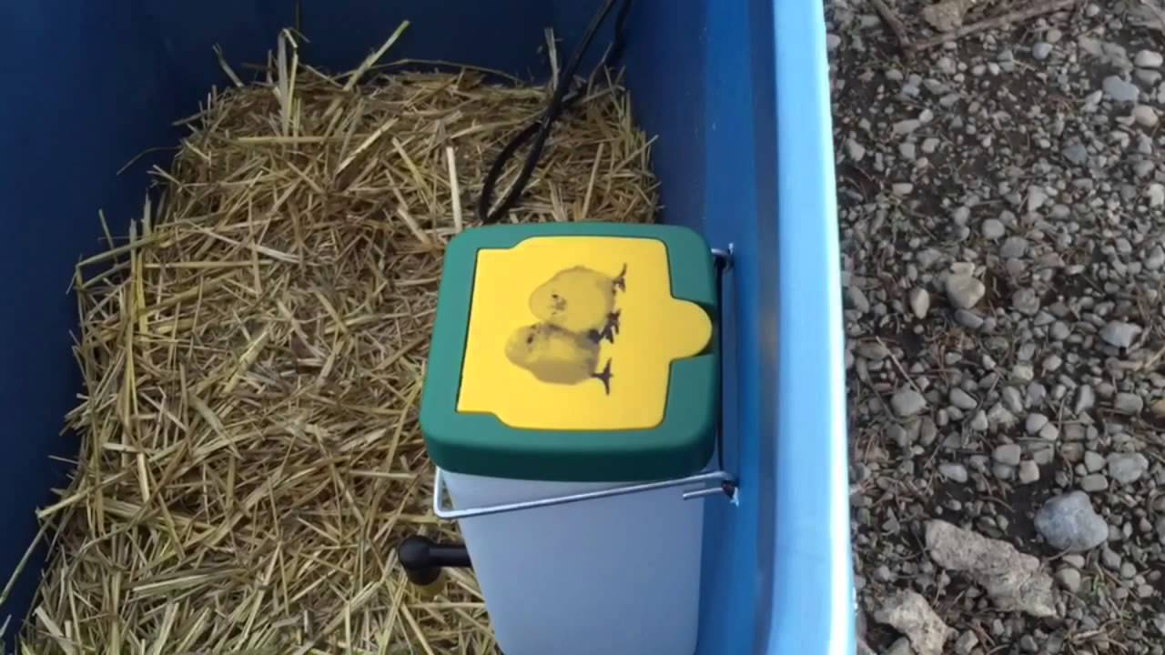 Homemade Chick Brooder