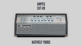 Ampeg SVT-VR - What To Know & Where To Buy | Equipboard