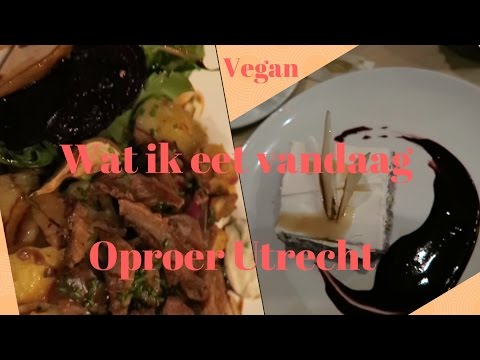 Wat ik eet op een dag | 100% plantaardig | Oproer