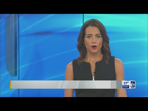 6 News at 5:00 p.m. What does MI's 1931 law mean?