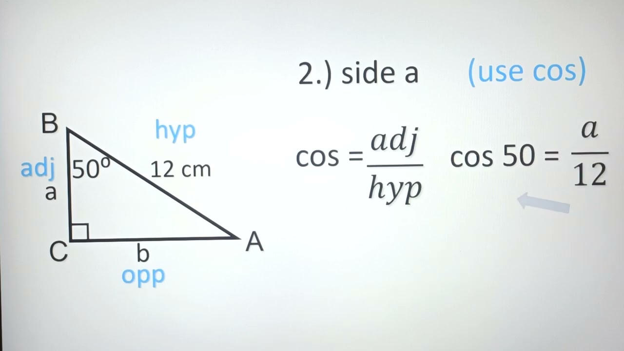 Math 9 Q4 (Solving Right Triangle) #2
