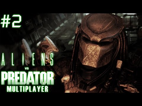 Steam Community :: Video :: Aliens vs. Predator [2010] - Multiplayer #2