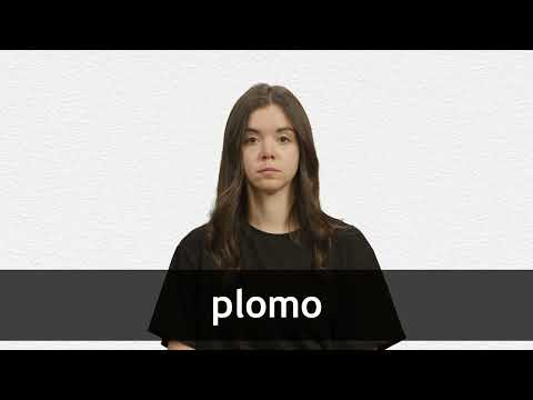 English Translation of “PLOMO” | Collins Spanish-English Dictionary