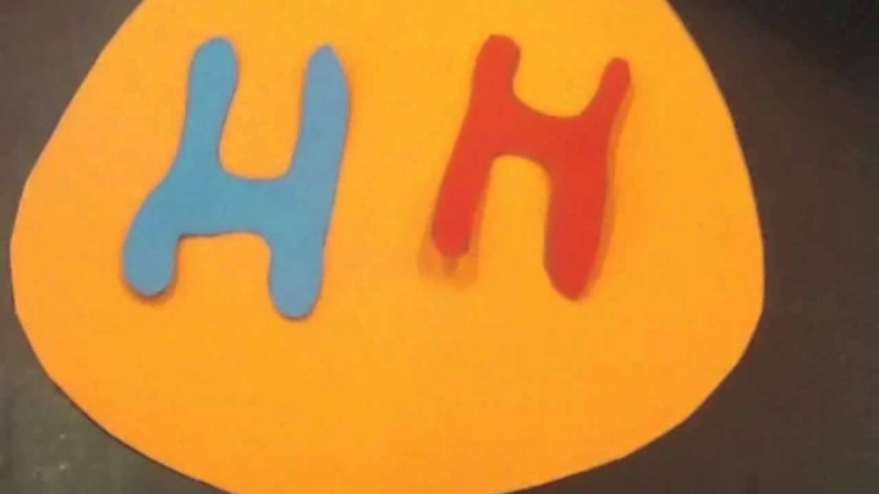 Celledeling - Stopmotion