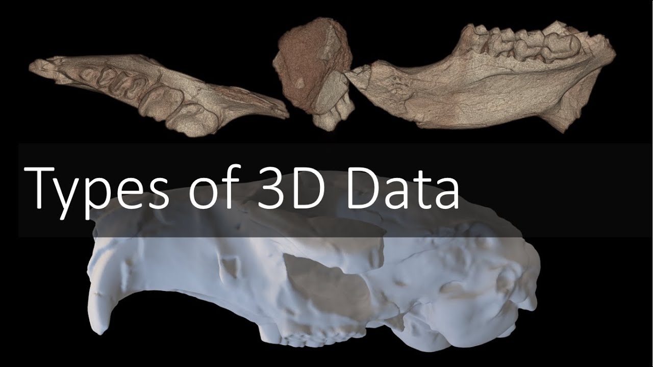 Types of 3D Data for Virtual Paleontology | Introduction to Digital Preparation Video 3