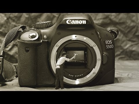 Sensor Size: FULL FRAME vs CROPPED