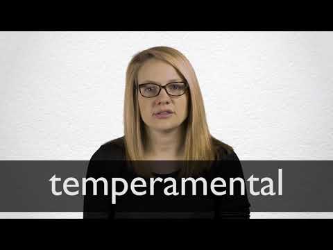 How to pronounce TEMPERAMENTAL in British English