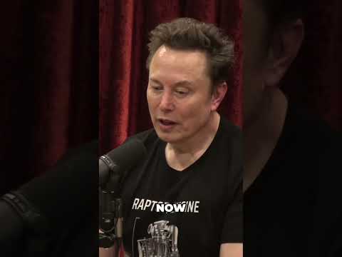 Elon Musk: AI surpasses humans by 2030?