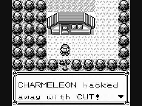 Pokemon Red Walkthrough - How to get HM5 (flash)