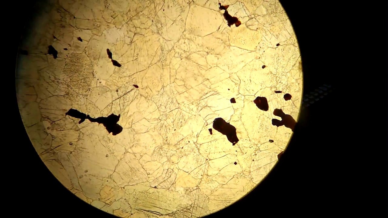 Pyroxenite Thin Section Sample 2
