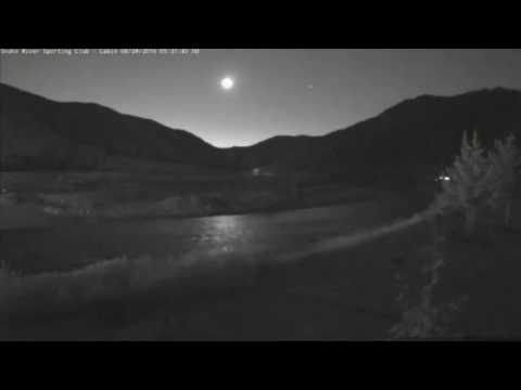 nibiru