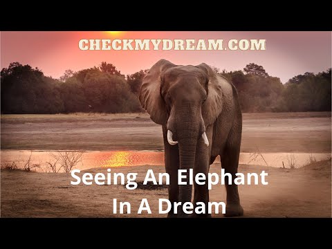 Exploring the Symbolic Meaning of Elephants in Dreams
