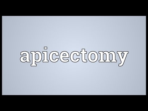 Apicectomy Meaning