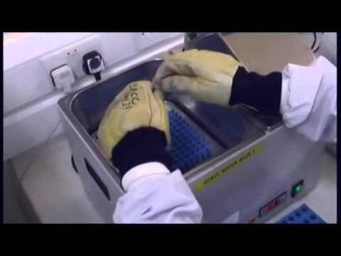 4.  Revival of cells from frozen