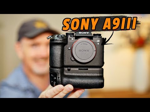 Sony A9 III: Changed wildlife photography (ILCE-9M3)