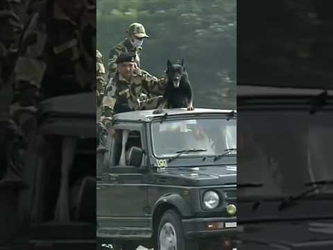 Indian army dog attack on terrorist 🇮🇳🔥#shorts #viral #bsf #army