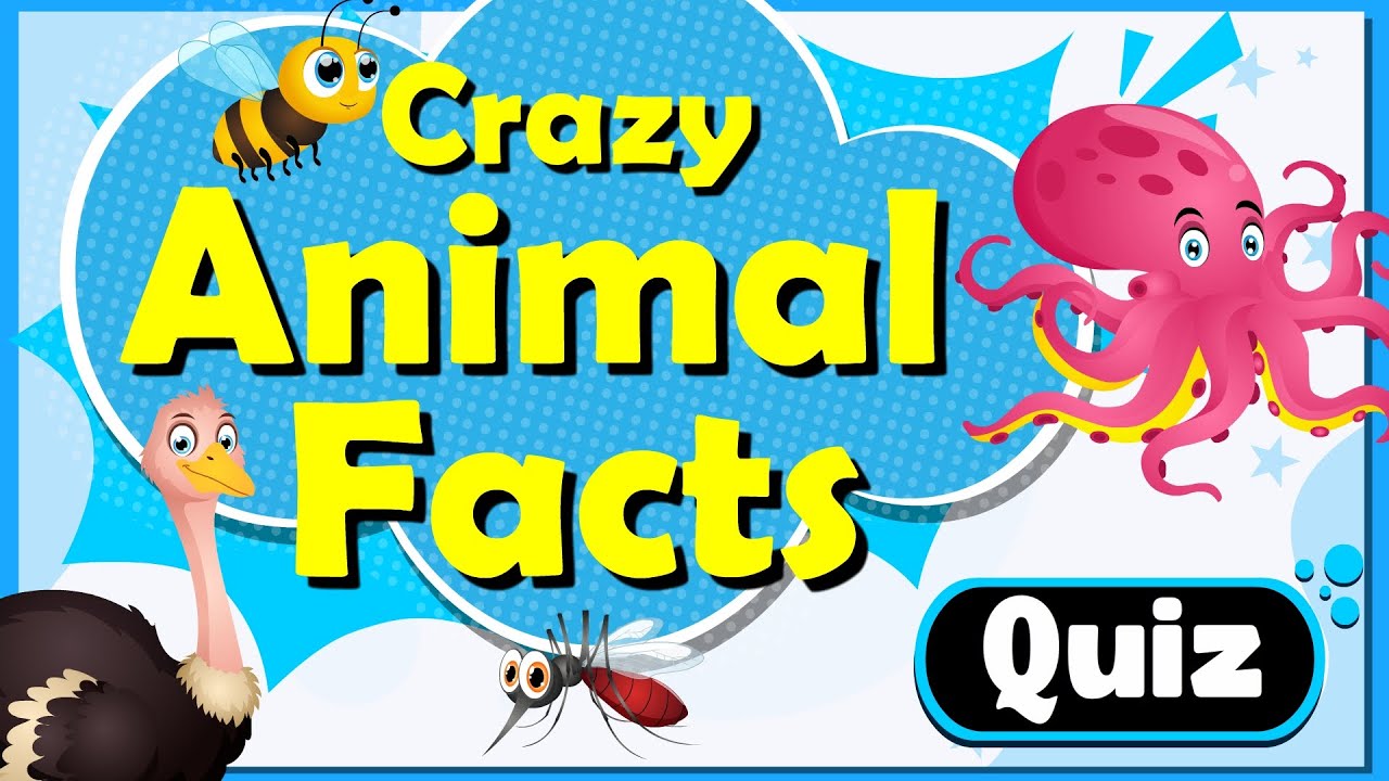 The Ultimate Animal Facts Quiz for Kids | Discover Mind-Blowing Animal Facts with Fun Animations!
