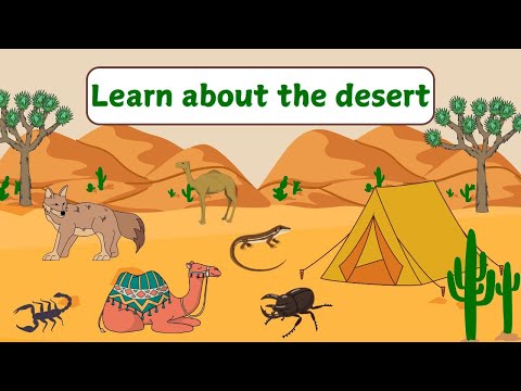 Learn about the desert | Desert animals for kids | Let's learn about the desert