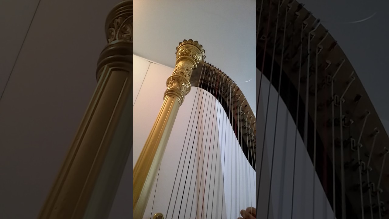 Hire Robert Turner: Harpist for Weddings, Holidays, Ceremonies ...