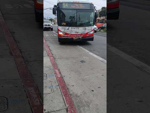SF Muni: New Flyer Xcelsior XE40 #5003 on 54 Felton at Geneva & Mission