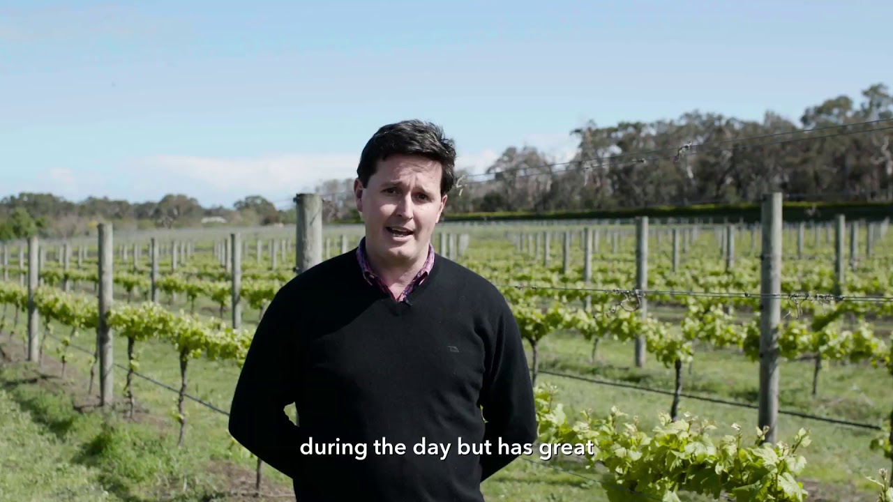 Coonawarra - Wine Regions of Australia