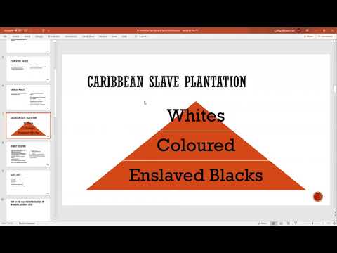 Lesson 19 Plantation Society and Economy (OptE1)