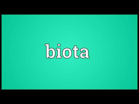 Biota Meaning