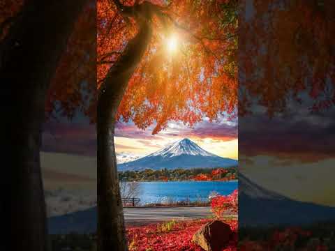 Autumn snow mountain leaf of mount Animated