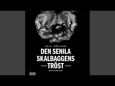 Chapter 25.16 - Den senila skalbaggens tröst