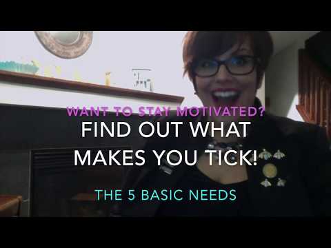 The 5 Basic Needs - what makes you tick?