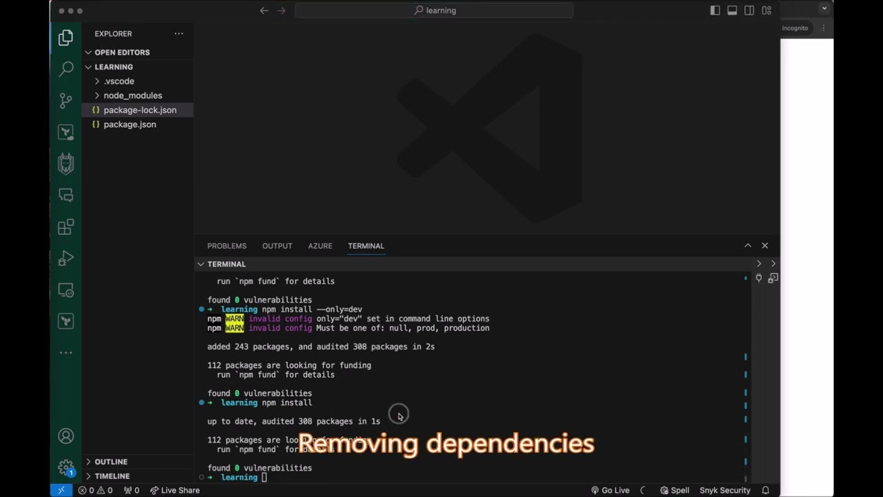 Node.js for Beginners | 6. External Modules and npm