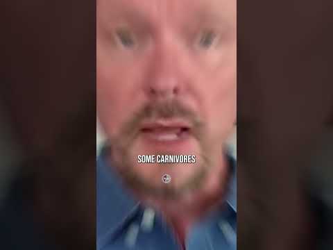 Meals On The Carnivore Diet π