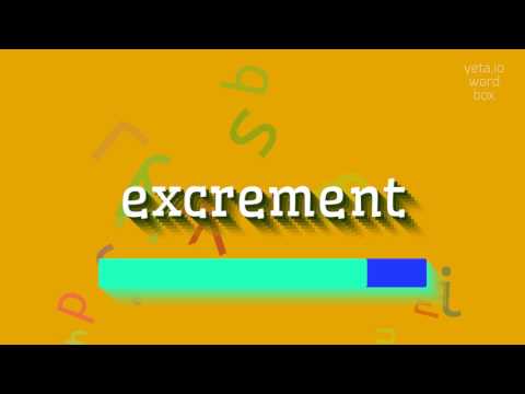 How to say "excrement"! (High Quality Voices)