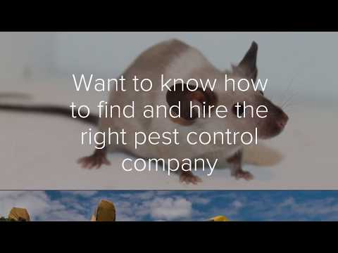 Santa Barbara pest control for restaurants – service-review
