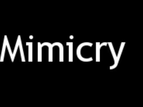 How to Pronounce Mimicry