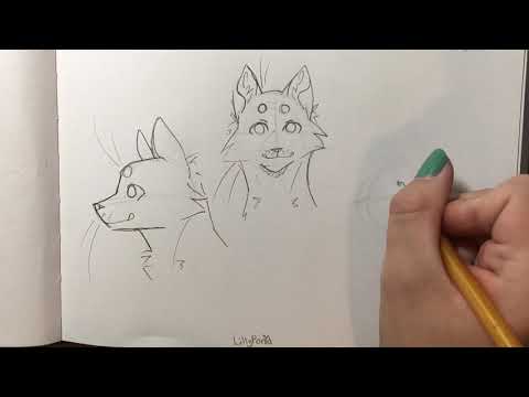 How to Draw Cat Headshots: My Way!