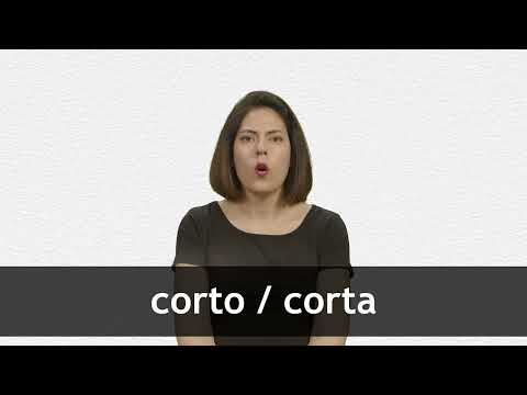 English Translation of “CORTA” | Collins Spanish-English Dictionary