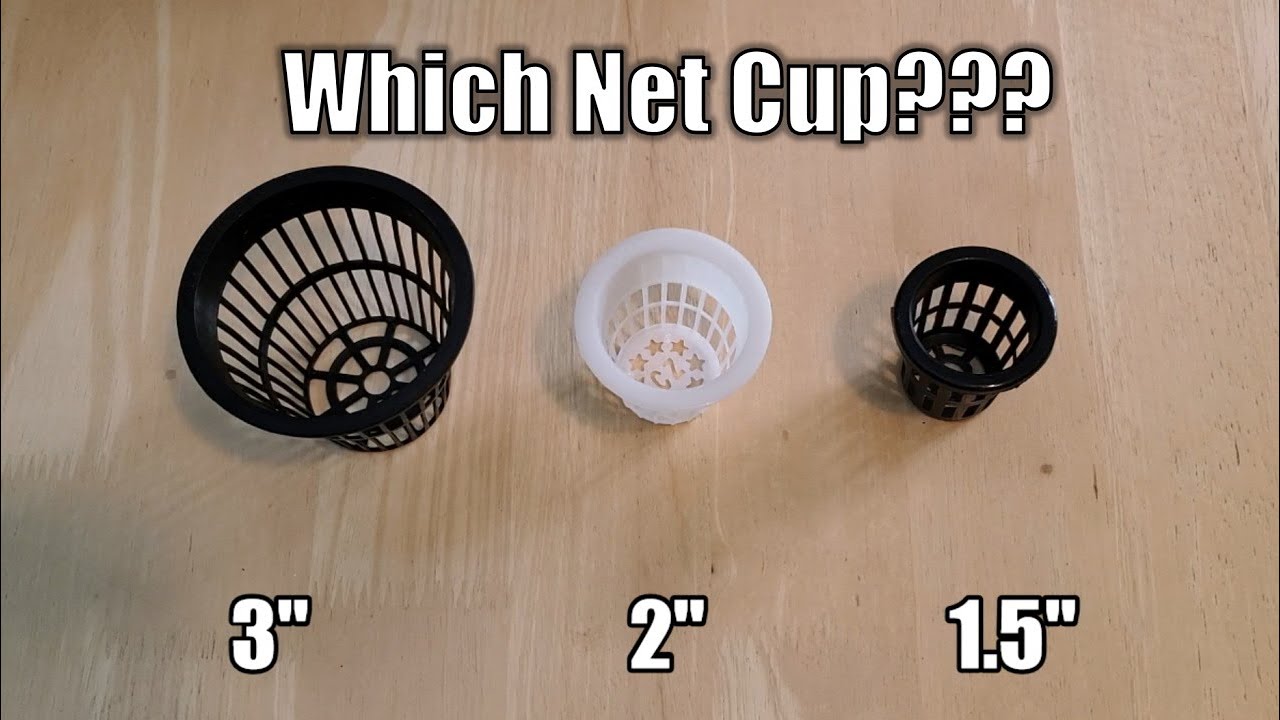 Choosing a Net Cup for Hydroponics