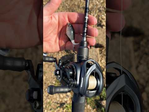 I Tried BFS Fishing For The FIRST TIME!