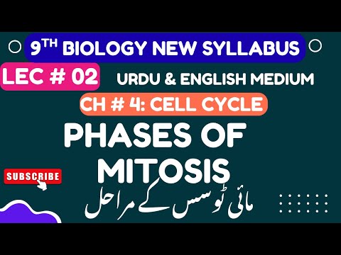 Lec 02: Mitosis | 9 Class Biology Chapter 4| Urdu English | New Book 2025 | PCTB