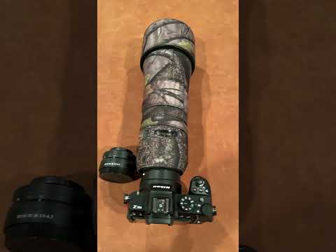 Nikon Z50ii and Sigma 150-600mm C Lens