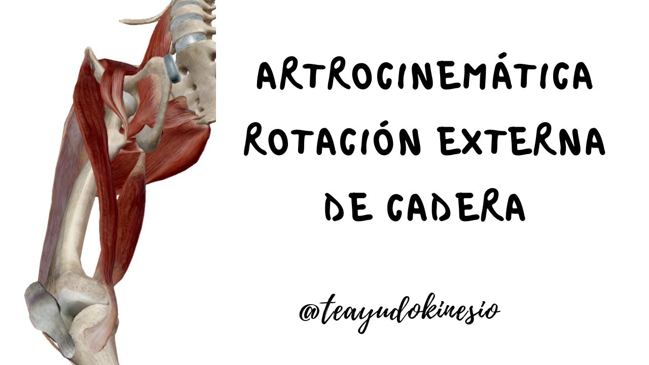 Arthrokinematics of external rotation of the hip