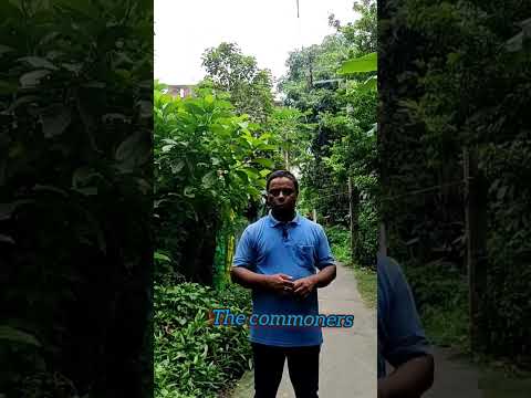 Rank & file এই Idiom টির ব্যখ্যা #englishgrammar #youtubeshortsvideo