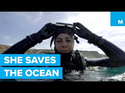 Here’s a Marine Biologist doing REALLY cool stuff to help our oceans ...